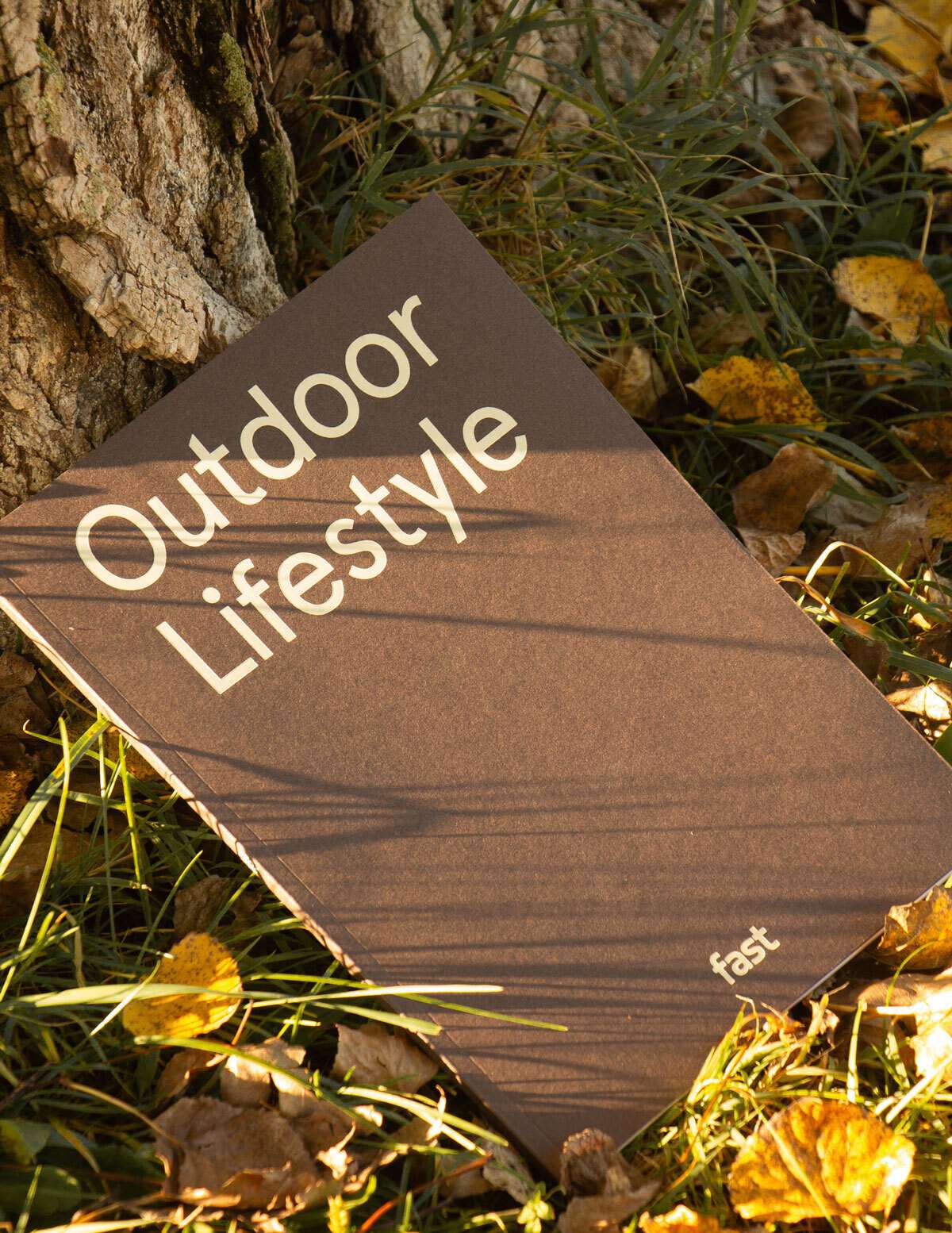 Home Page - Fast Spa